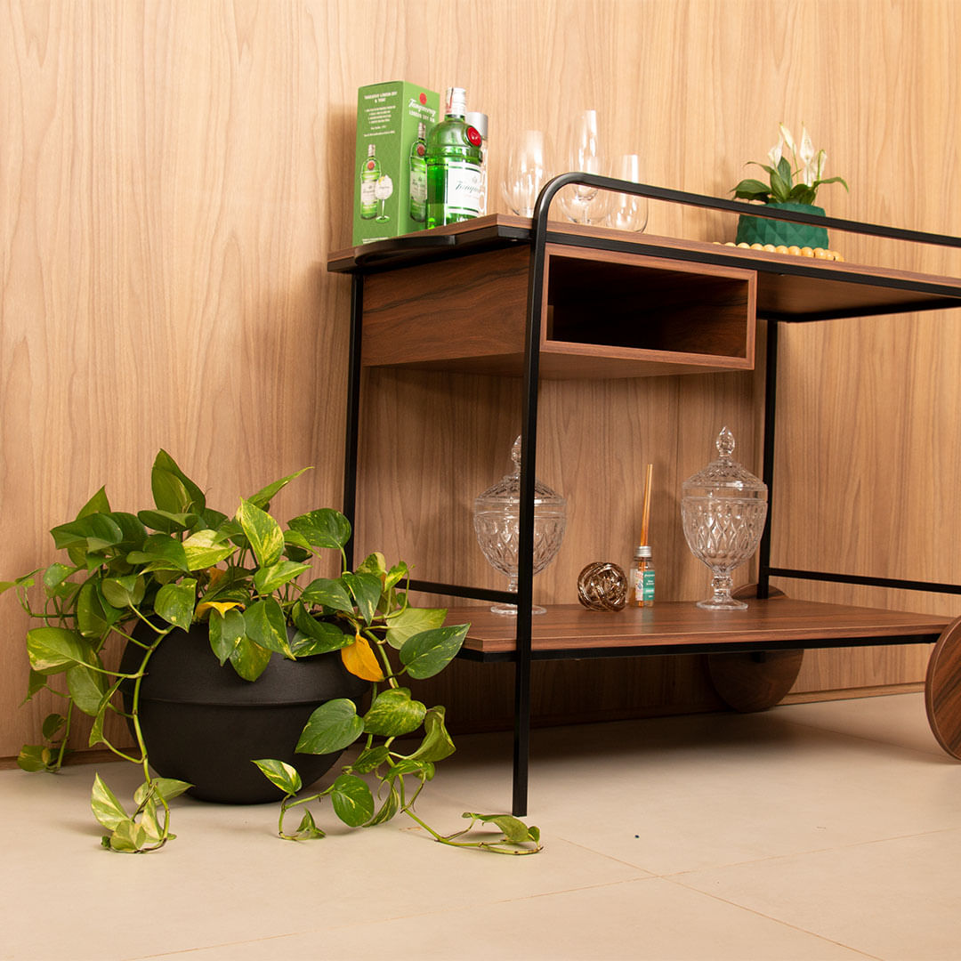 COSMOS 23 - Vasap Design