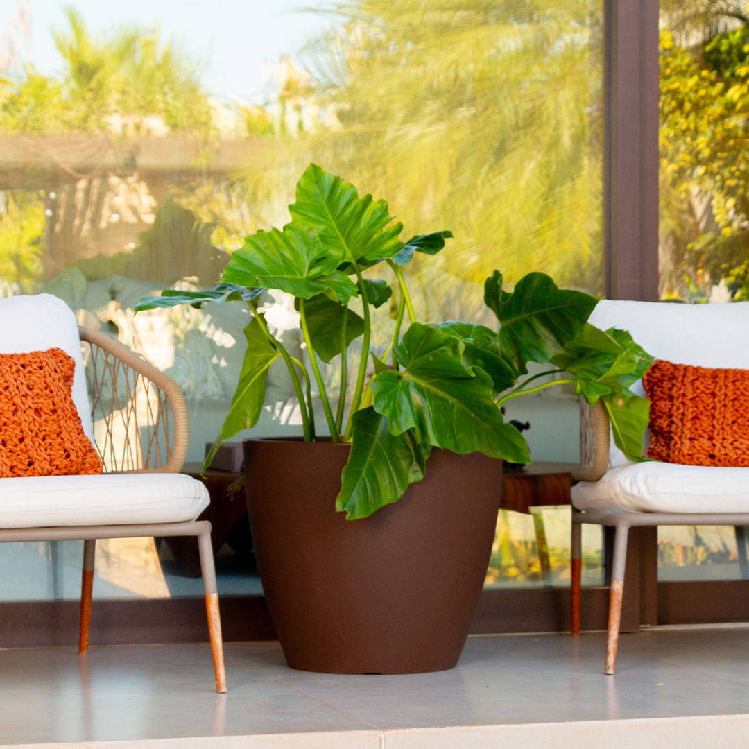 VIETNAMITA 48 - Vasap Design