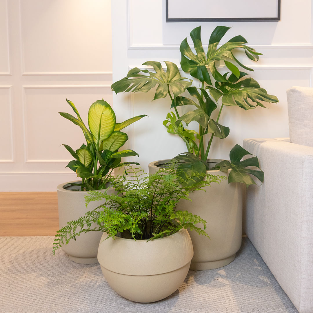 KIT 2 VASOS CUMBUCA ALONGADA E 1 COSMOS 31 AREIA - Vasap Design