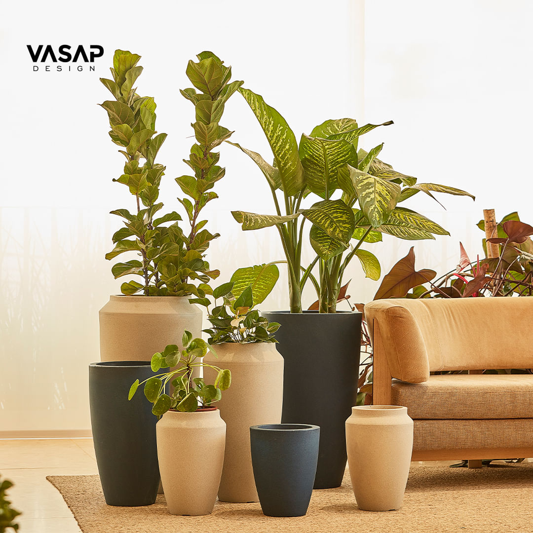 KIT DE 7 VASOS MISTOS THAI E VIETNAMITA - Vasap Design